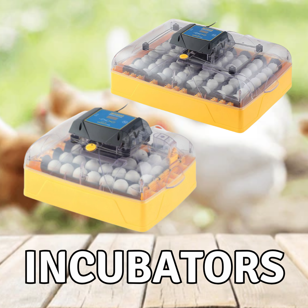 Incubators – The Chicken Lab