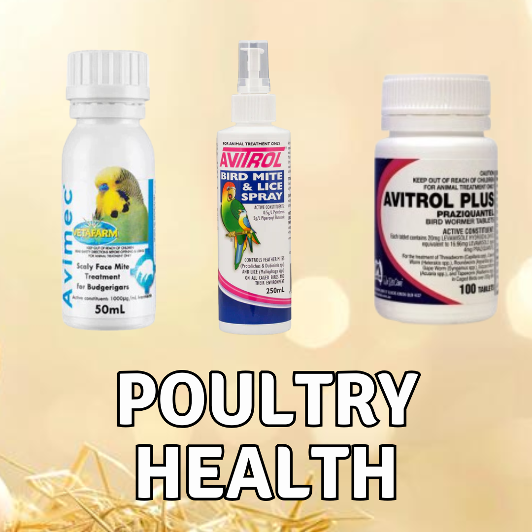 Poultry Medication – The Chicken Lab